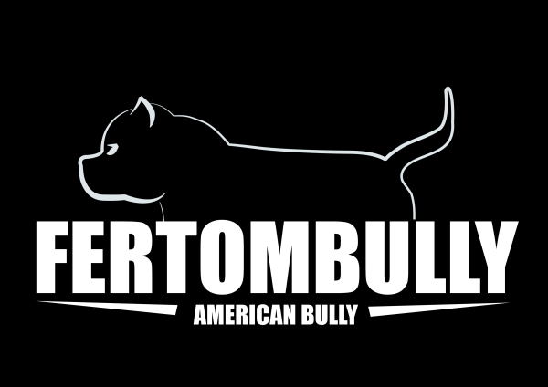 FERTOMBULLY CRIADERO AMERICAN BULLY CHILE - VENTA DE CACHORROS